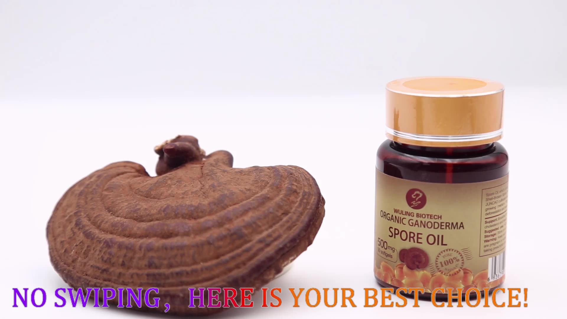 High Triterpenes Ganoderma Spore Oil Reishi Spore Oil Softgel For Liver ...