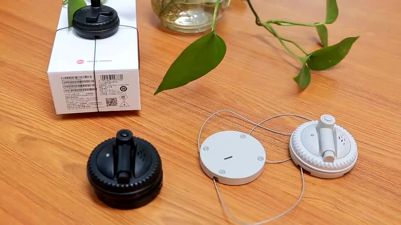 Retail Shop Self Alarming Sensor Magnet Lock Spider Tags With Net Eas ...