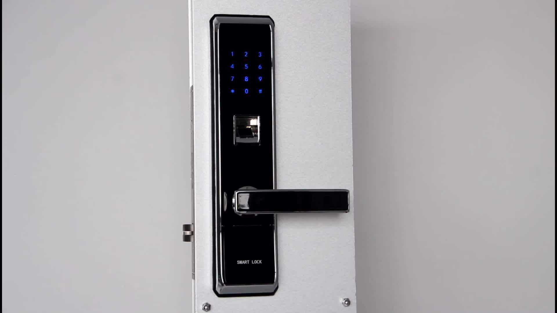 Zhongshan Factory Of Key Biometric Electronic Security Code Door Locks ...