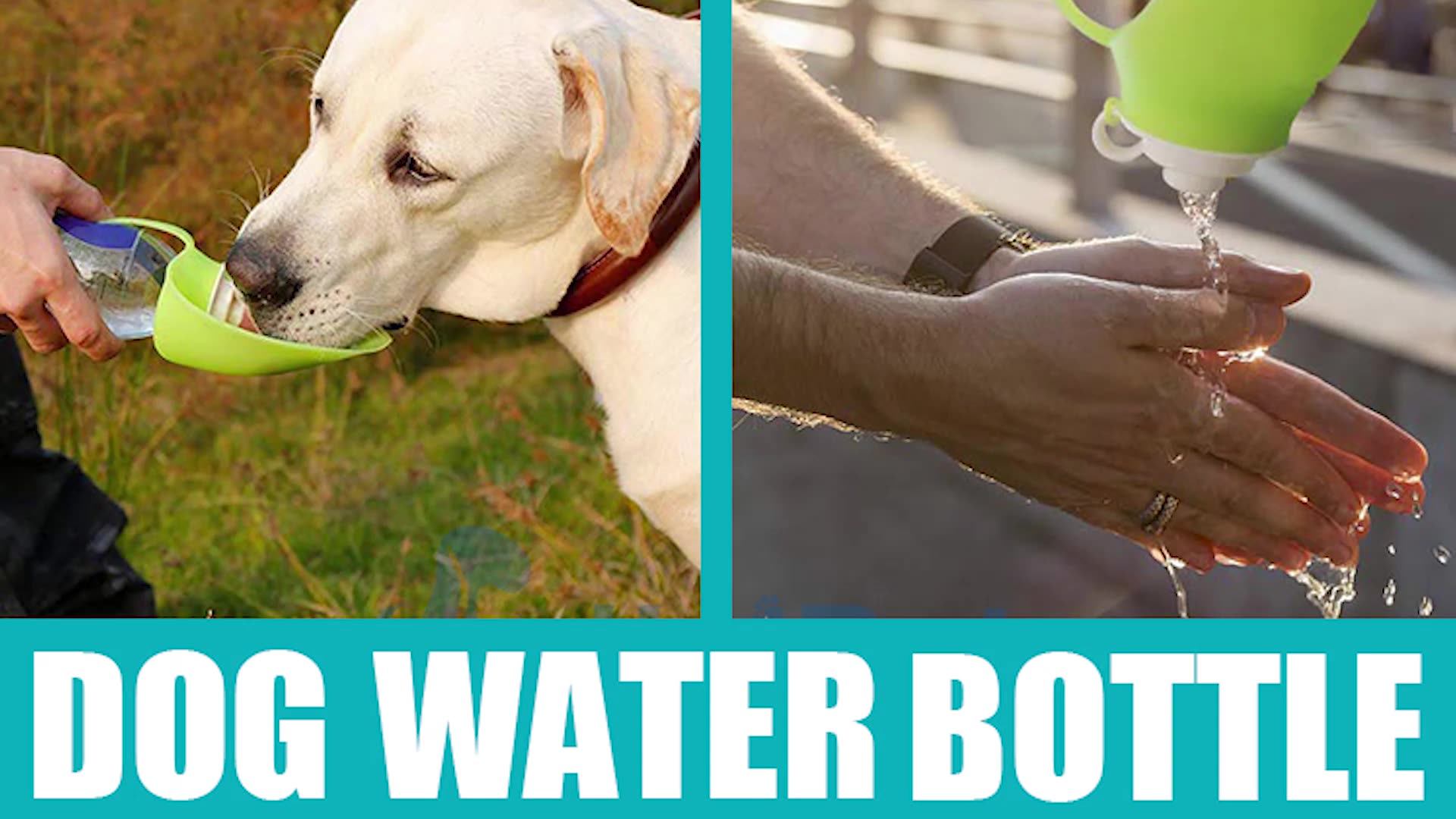 Portable Stainless Steel Dog Water Bottle For Walking Travel Bottles ...