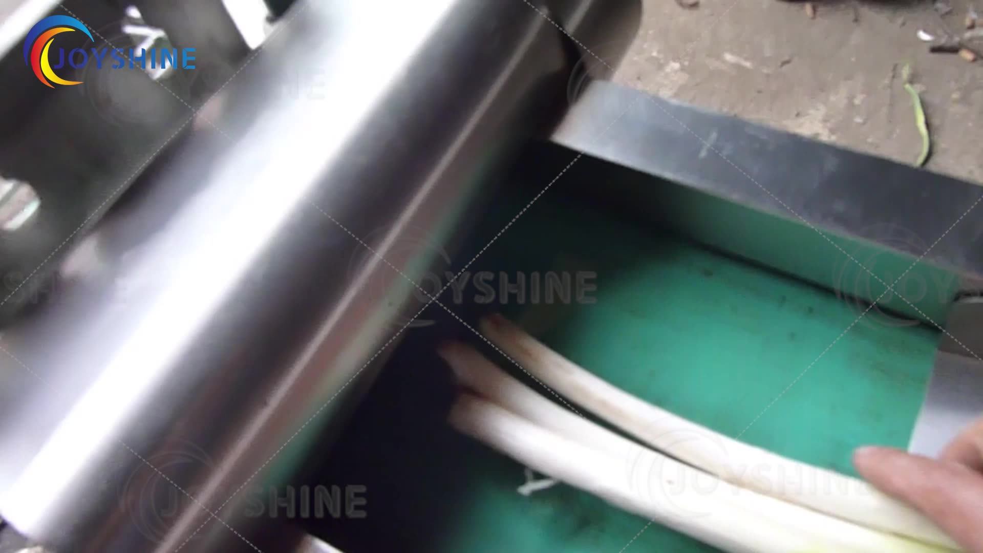 Commercial Root Vegetable Fruit Banana Strawberry Carrot Julienne ...