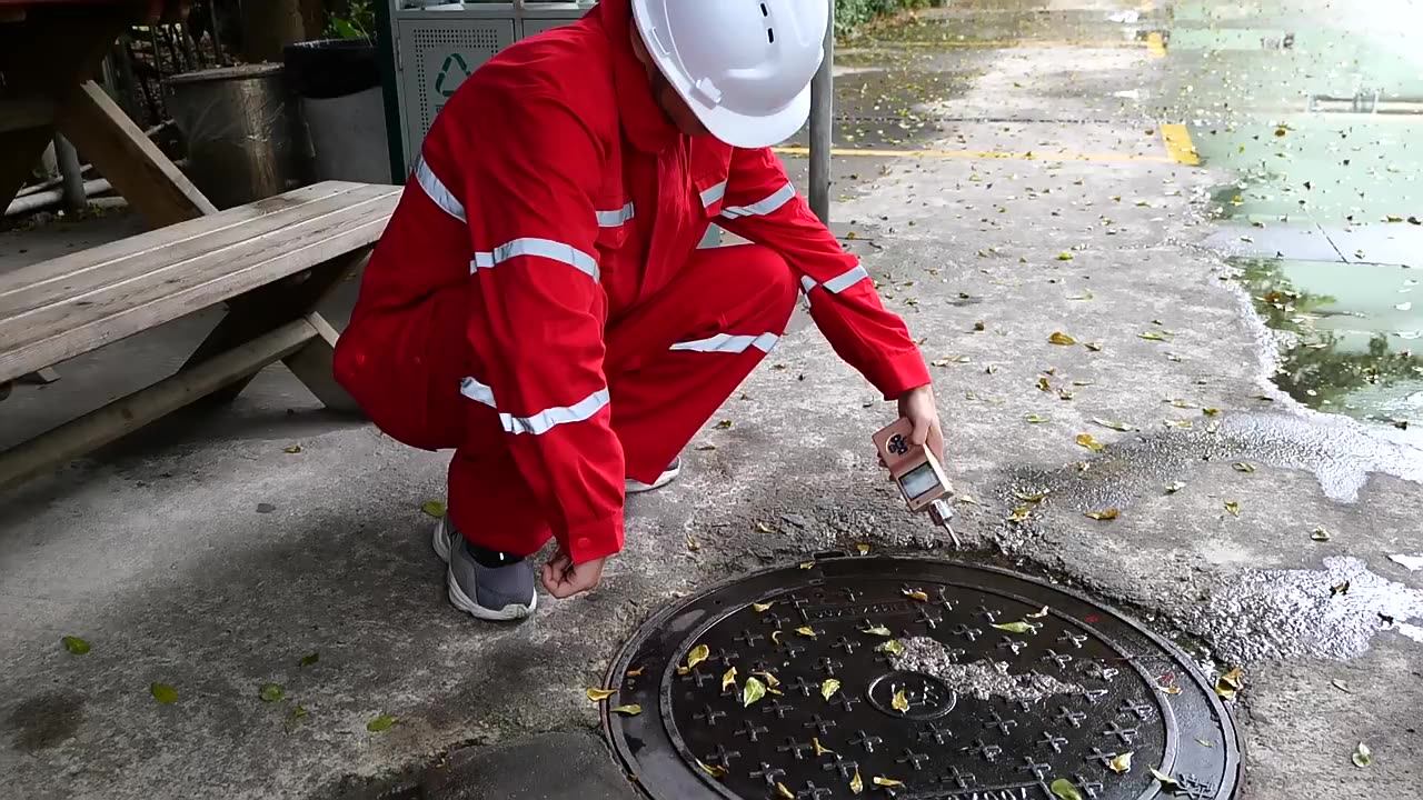 Safewill Portable Handheld Argon Gas Analyzer With Built-in Pump Nh3 ...