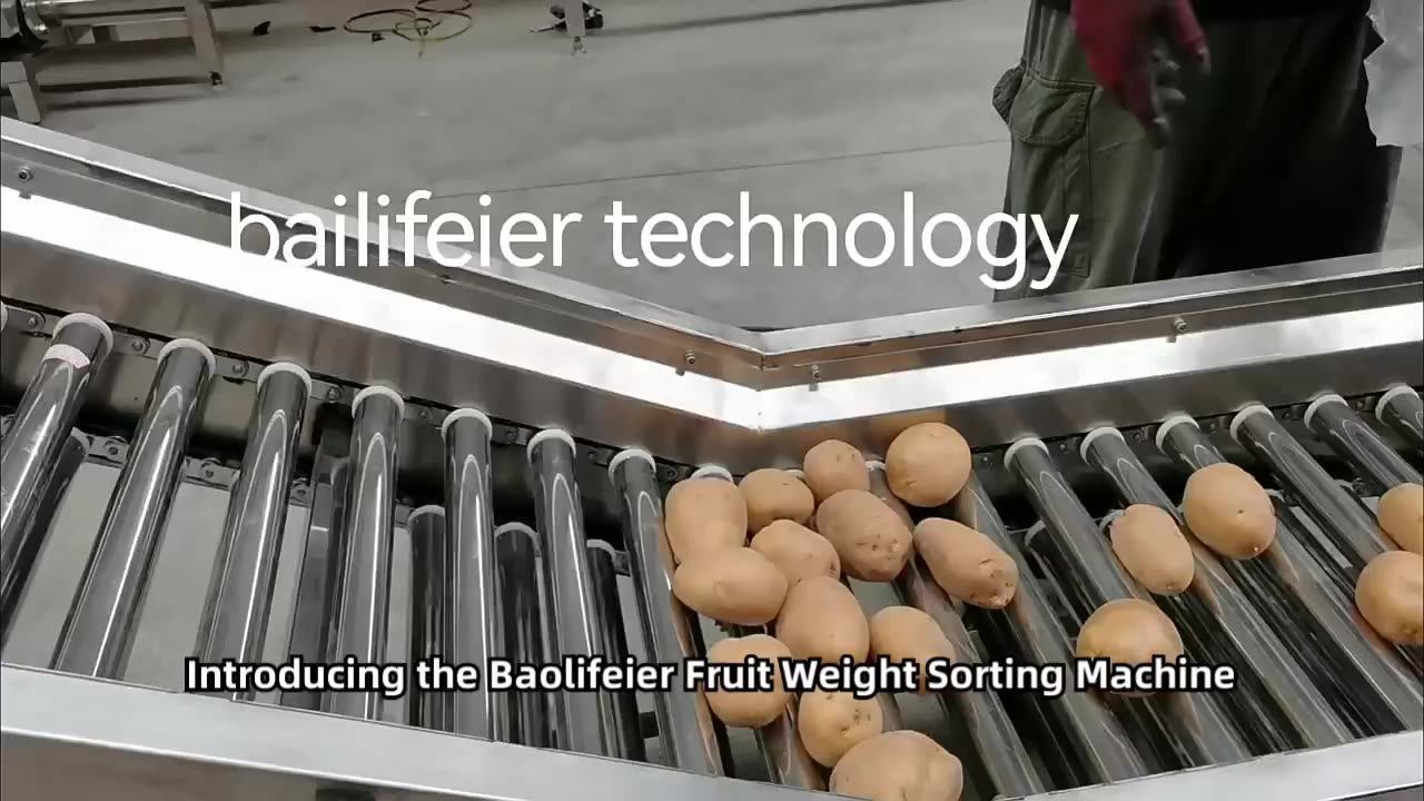 Size Classification Vegetable Selection Machine Sorter Mango Grading ...