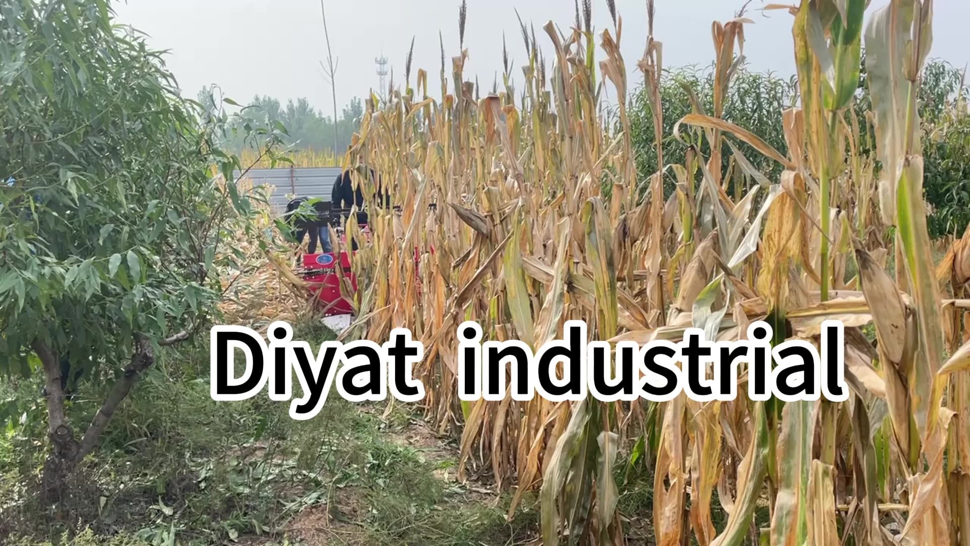 Agricultural Manual Self-propelled Rice Reaping Machine Wheat Binder ...