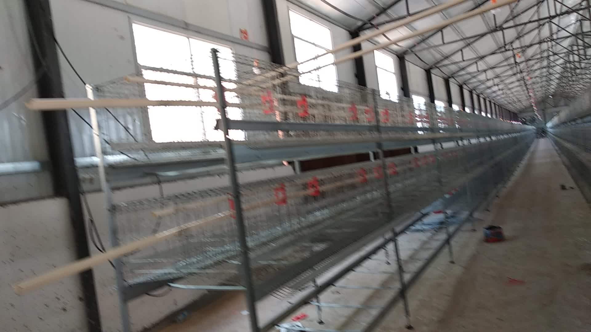 Commercial Poultry Farm Use Design Layer Chicken Cages For Breeding ...