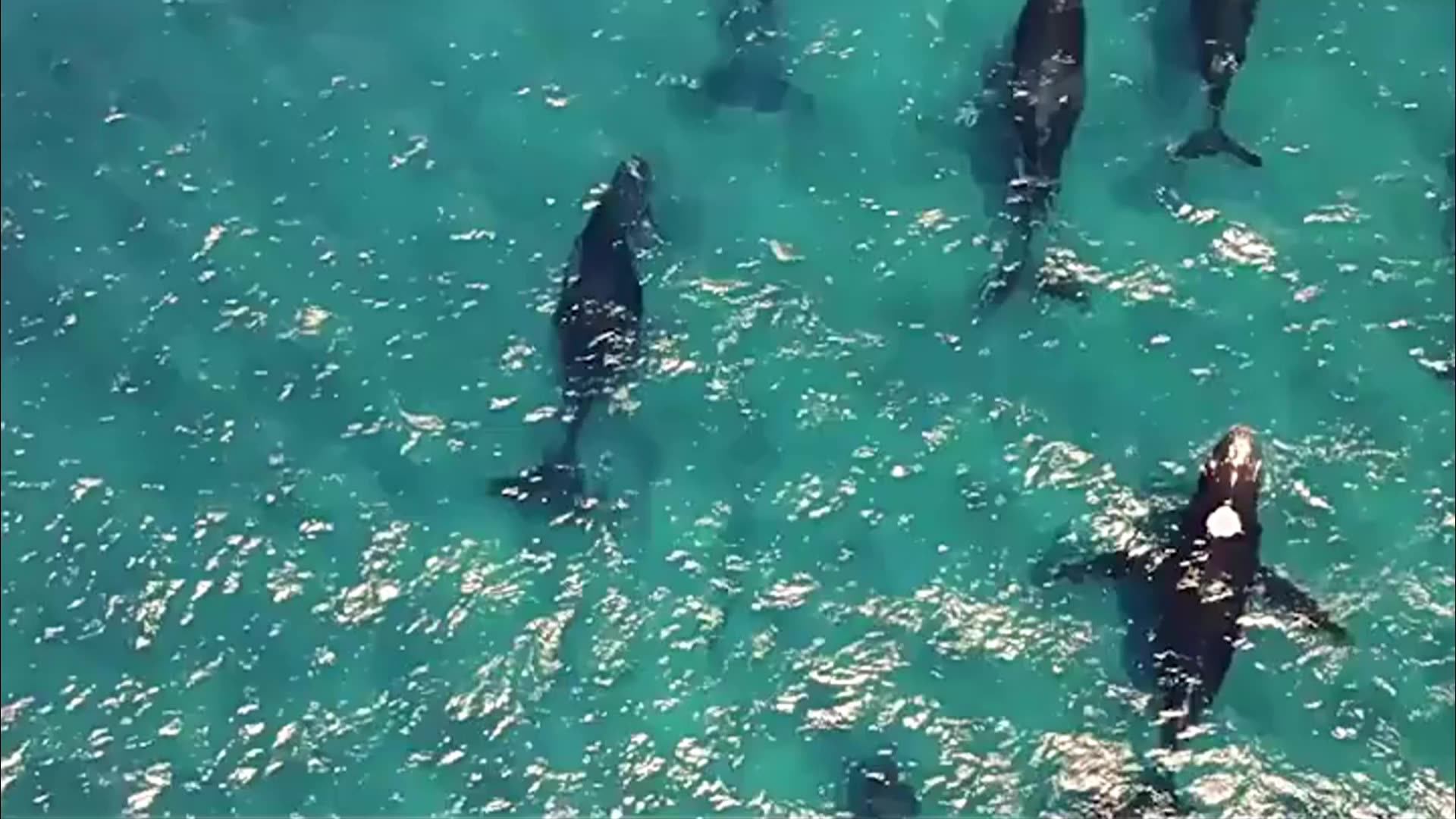 Fully Functional Side Drainage Smart Kitchen Sink Handmade Sink ...