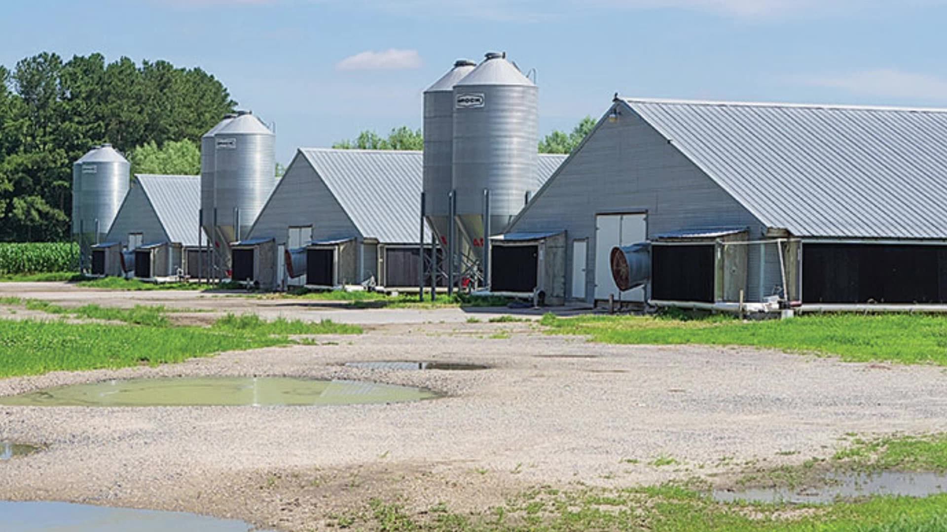 Low Cost China Made Commercial Chicken House Used - Buy Chicken Poultry ...