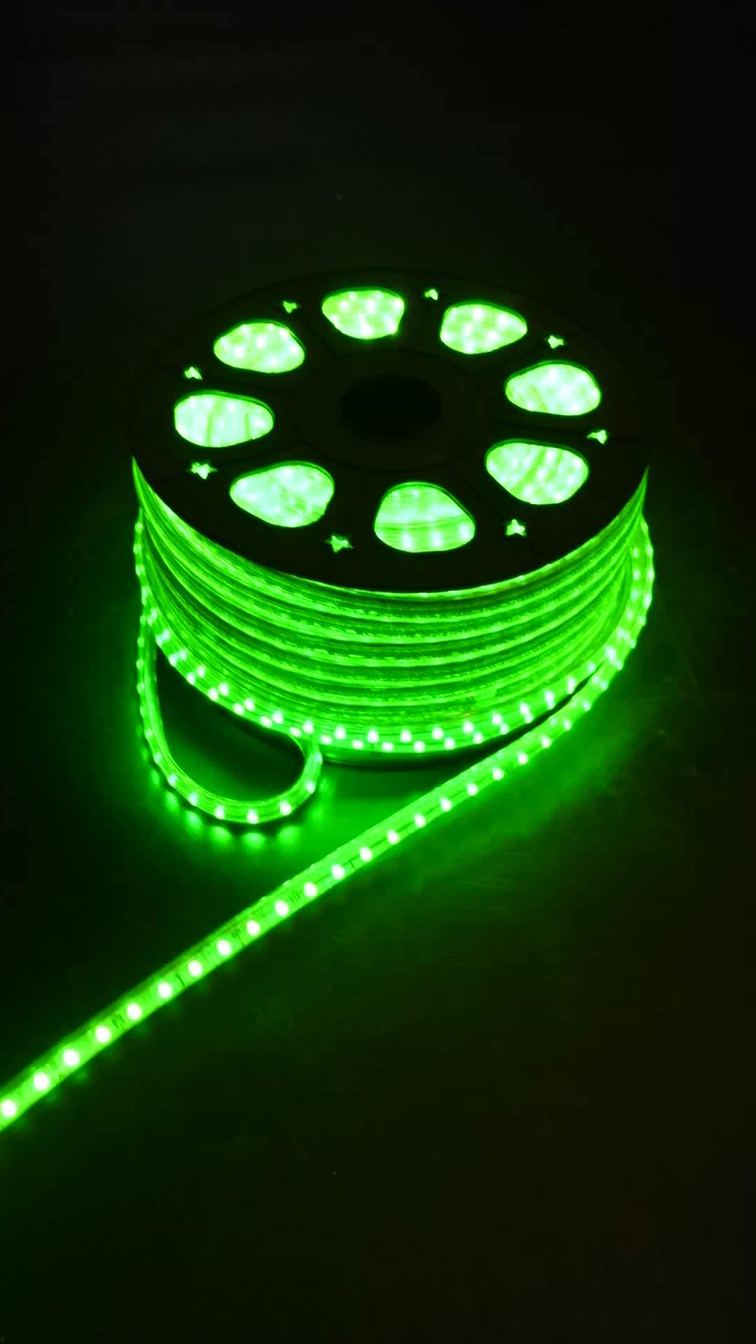 Dmx 100m/roll 220v/12v Led Flexible Tube Strip Smd 2835/5050 Rgb Led ...