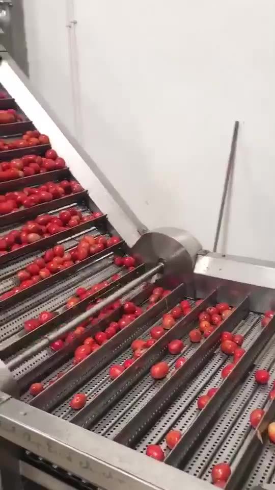 Tomato Processing Factory Tomato Processing Machines In China Tomato Processing Plant Line - Buy ...