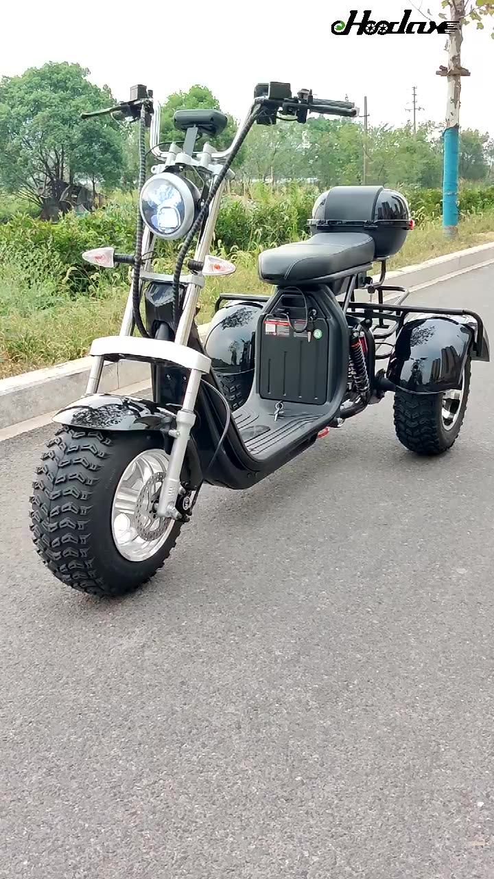 Ehoodax Three Wheel E Bike Speed 40kmph Off Road Tire Electronic E ...