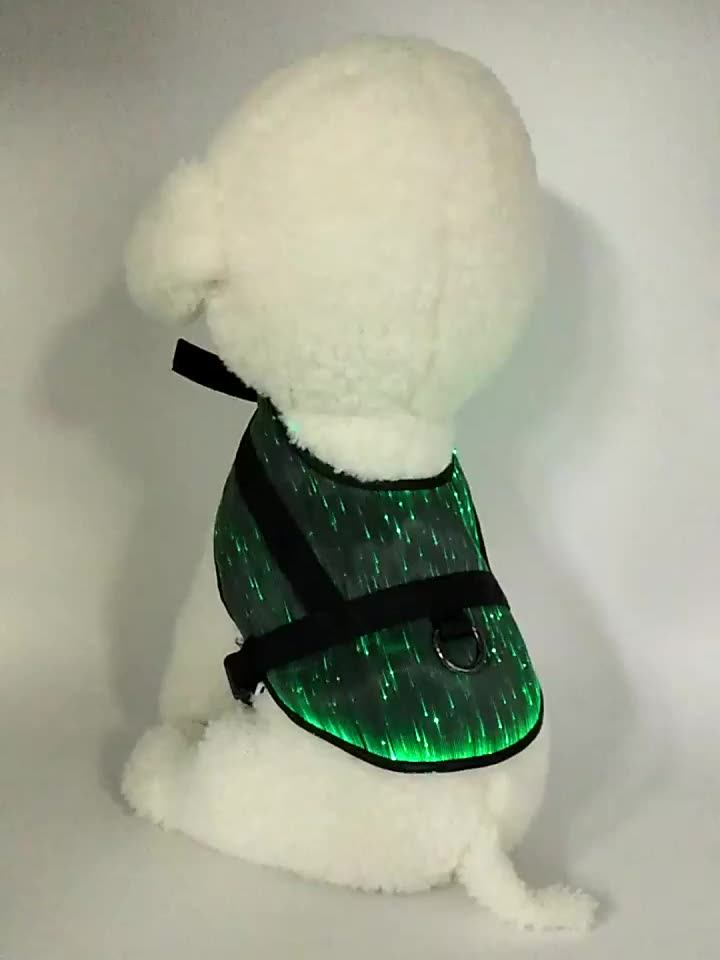 Led Light Up Pet Vest - Blinking Led Disco Dog Clothes Usb Rechargeable ...
