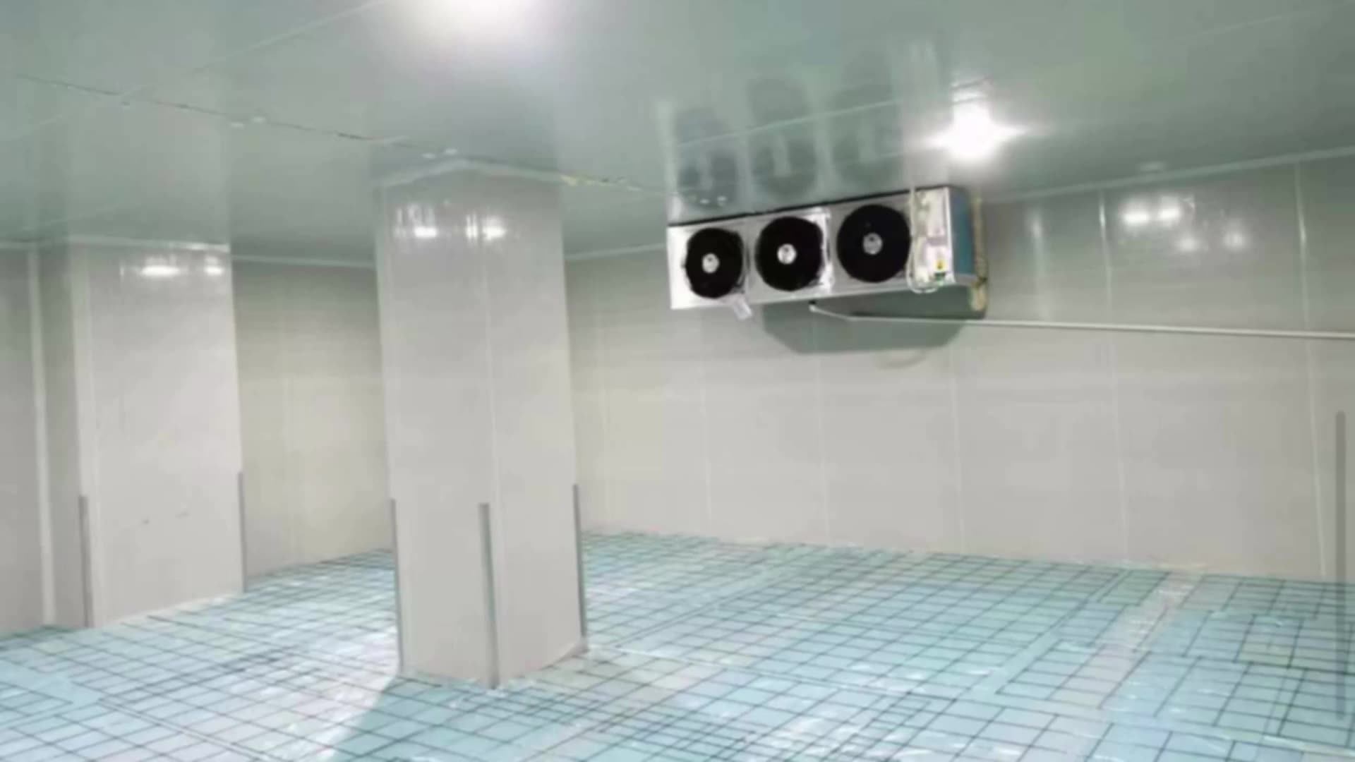 走进冷藏室 - Buy 走在冷水机组室,Coldroom,步入式冷藏室 Product on Alibaba.com