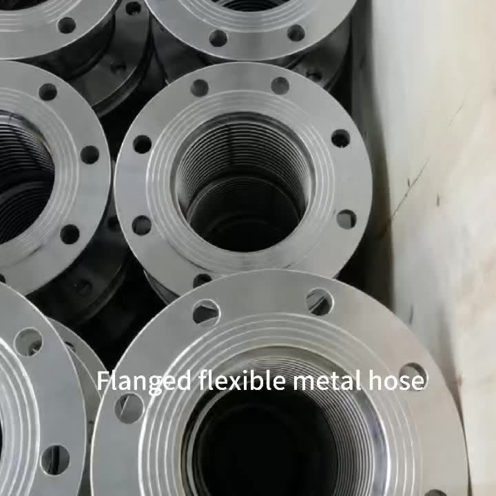 Flange Connected Flexible Metal Corrugated Pipe 1000mm Metal Braided ...