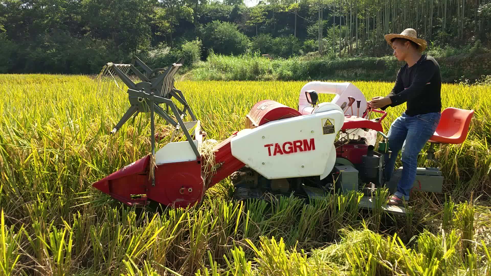Mesin Pemanen Padi Petites Moissonneuses-batteuses De Riz Cosechadora ...