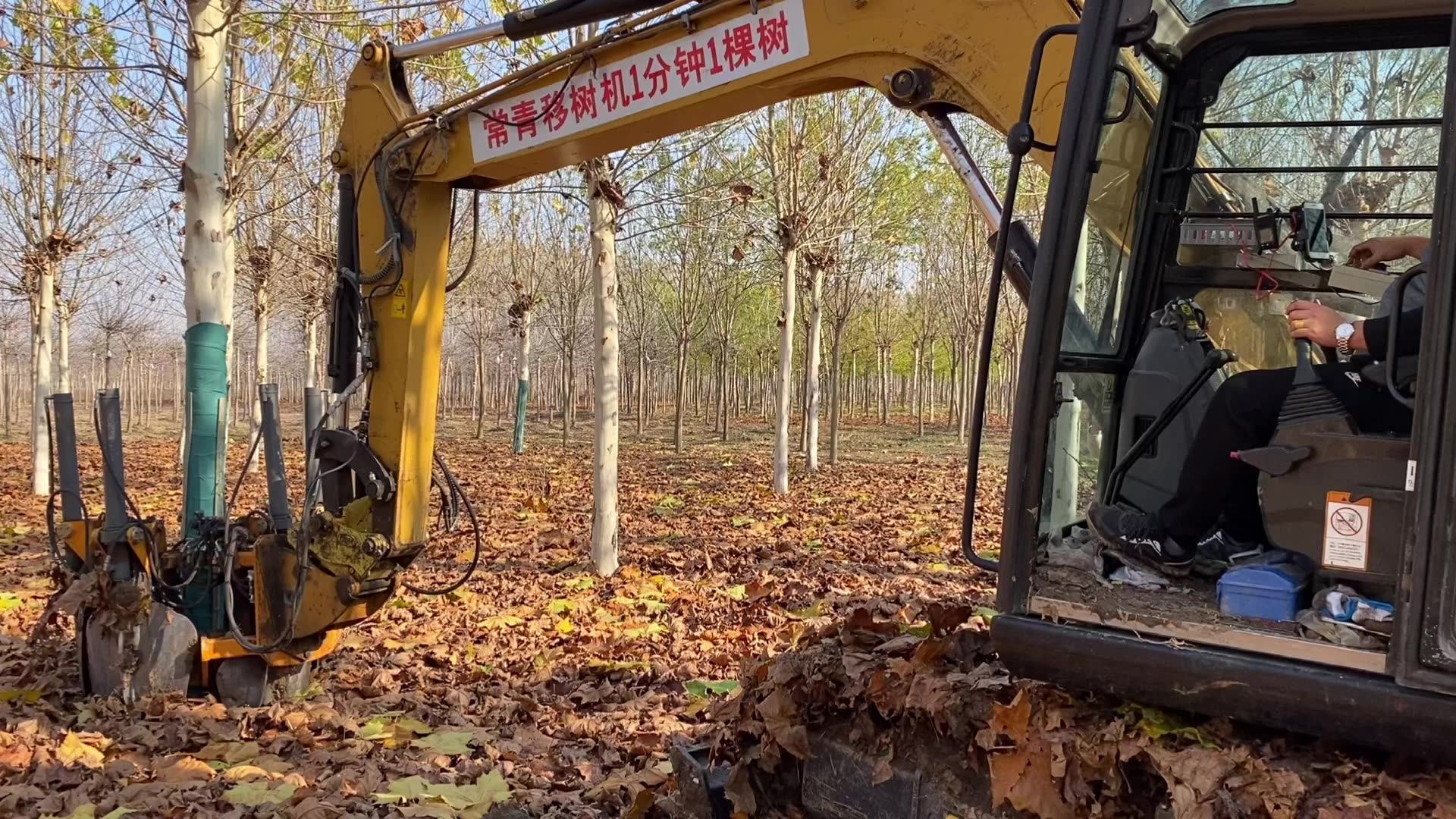 Free Shipping Tree Transplanting Machine Tree Spade Transplanter Apply ...