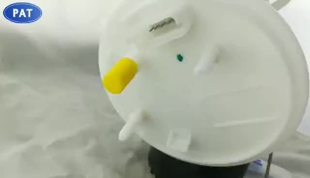 Pat 燃油泵组件适合捷豹 Xf C2z3907/czc25749/xr852872/a2c53101738 6r83-9h307-cb ...