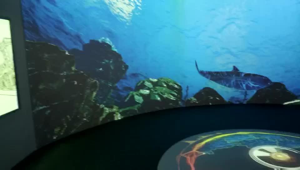 Large Size 500 Inch Deluxe Matte White High Gain Material Curved ...