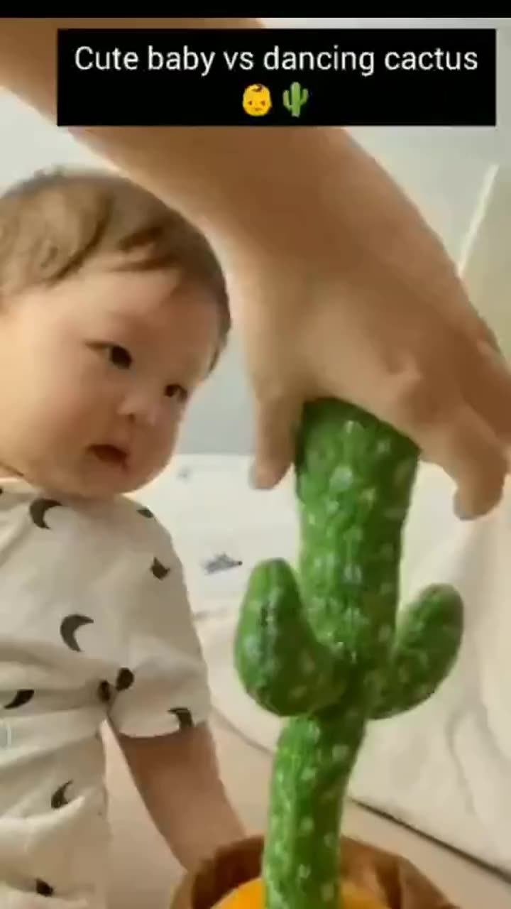 Twisting Music Song Dancing Cactus Talking Cactus Stuffed Plush Toy ...