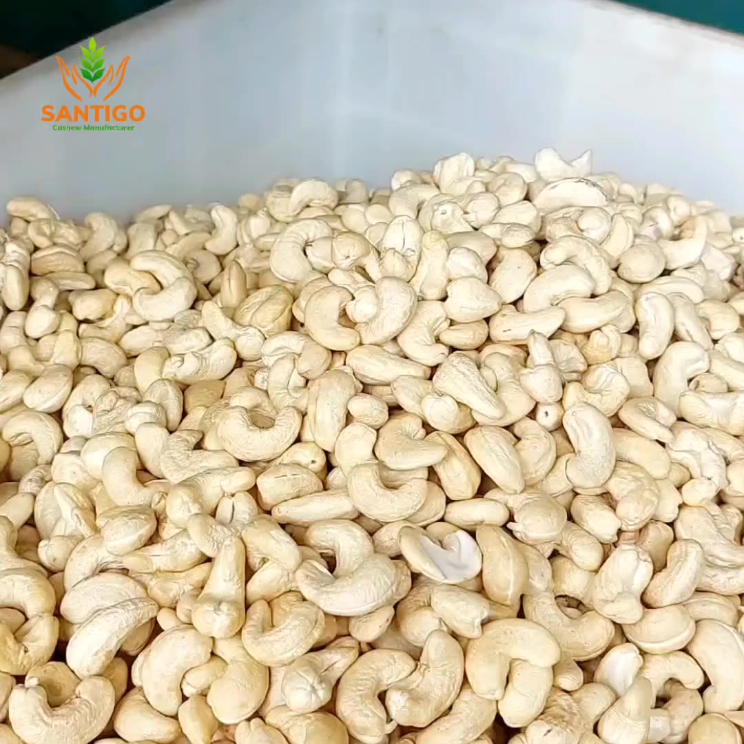 Made In Vietnam Kaju Cashew Cashew Nuts W320 W240 Noix De Cajoux Best Price Cashew Nuts ...
