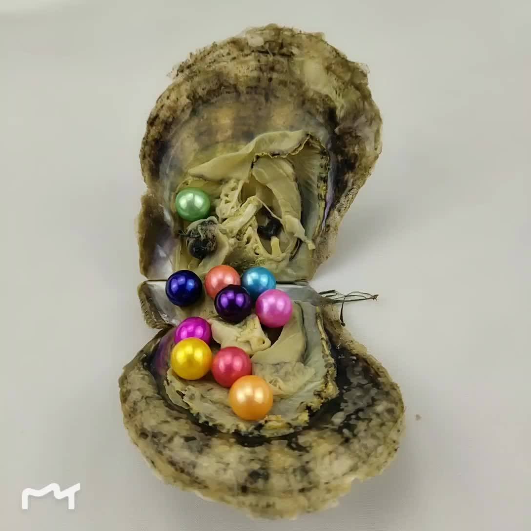Mixed 34 Colors 10 Pearls In 1 Akoya Pearl Oyster,7-8mm Round Natural ...