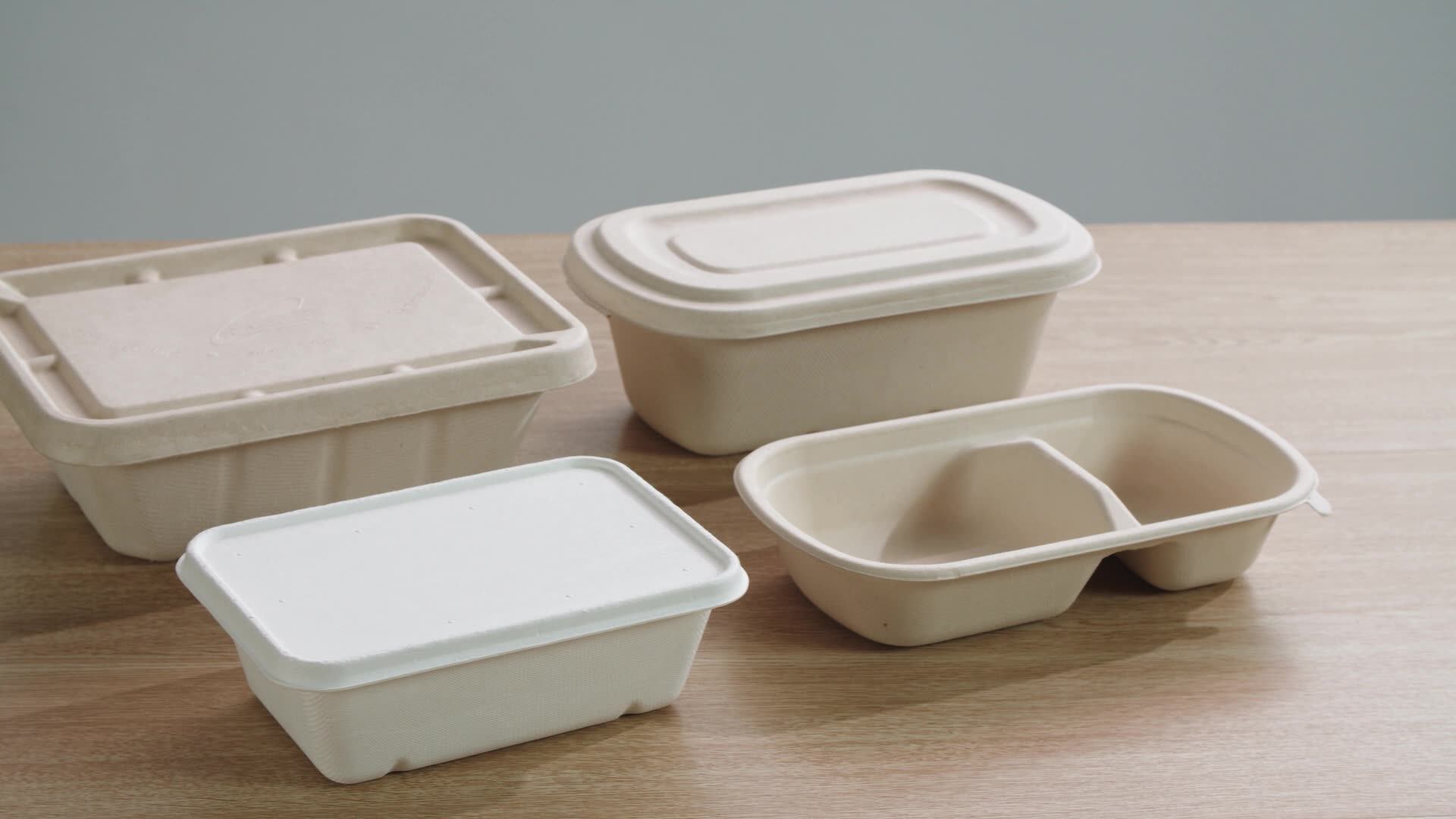 Eco-friendly Products 2023 Sugarcane Bagasse Disposable Biodegradable ...