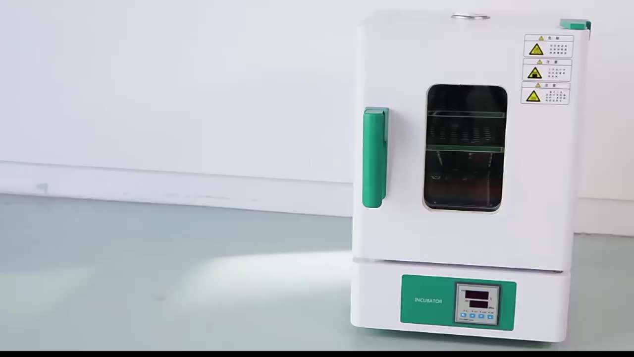 Ikeme New Arrival 18l Mini Microbiological Incubator Constant ...