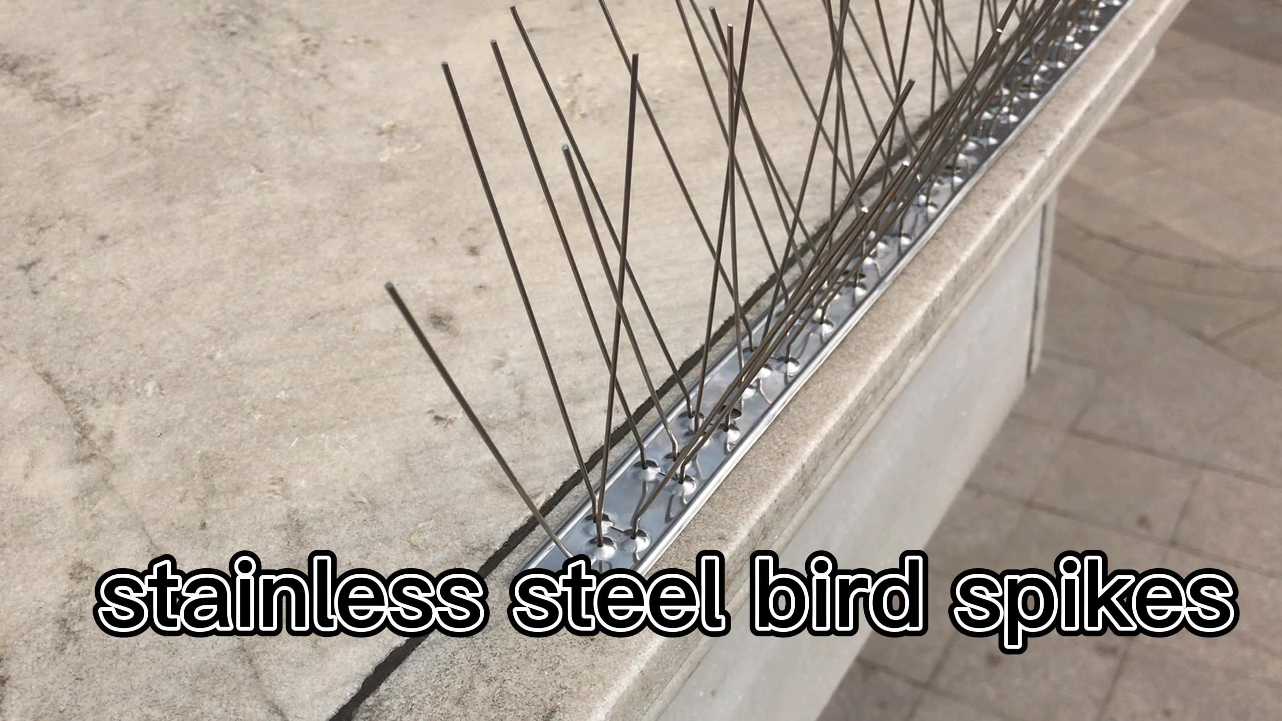 Bird Spikes For Anti Birds Pigeons Stainless Steel Bird Repeller Spikes ...