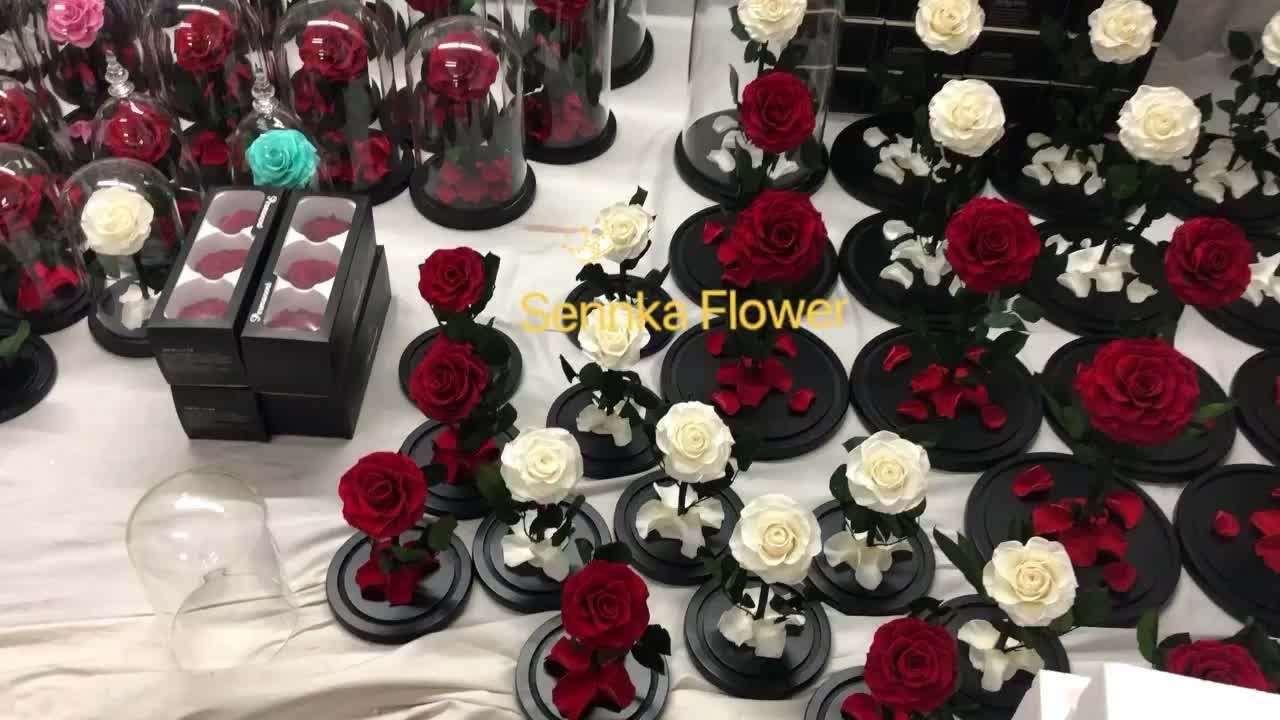 Luxury Preserved Rose In Glass Preserved Flowers Stabilized Roses For ...