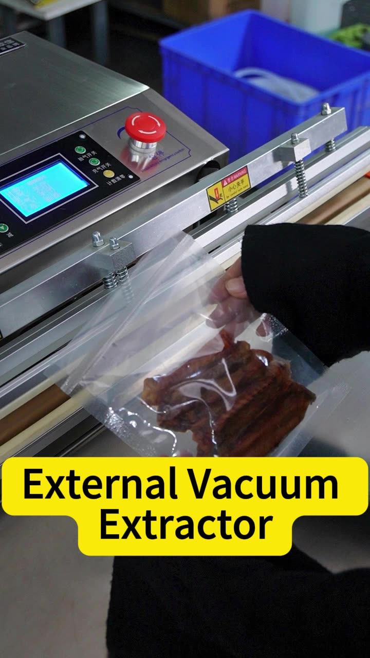 Ox-600w Food Vacuum Sealer Machine Pumping And Inflating Gas For Food ...