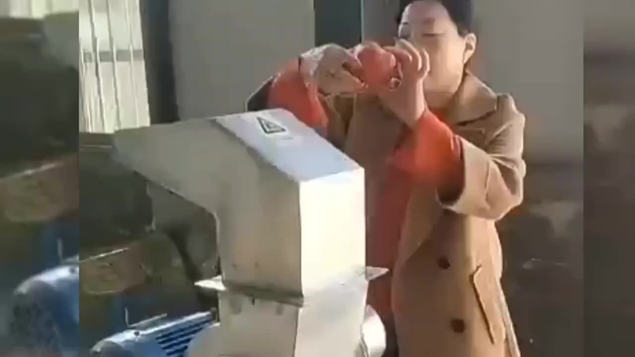 Hot Sell Carrot Fruit Juice Machine Apple Juice Extraction Machine ...