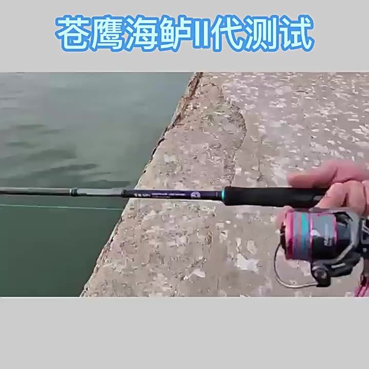 Ryobi Saltwater Lure Spinning Rod Fuji Guide Casting Carbon Sea Bass ...