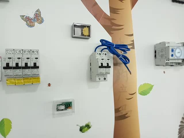 Saa Certificated Type B Rcbo Residual Current Circuit Breaker With ...