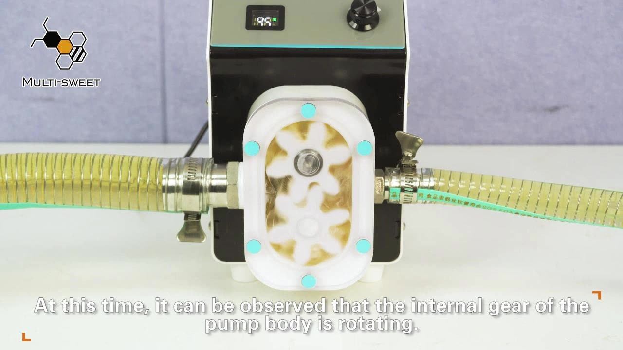 Automatic Filter Transfer Pump For Honey Tomato Paste Honey Pumping ...