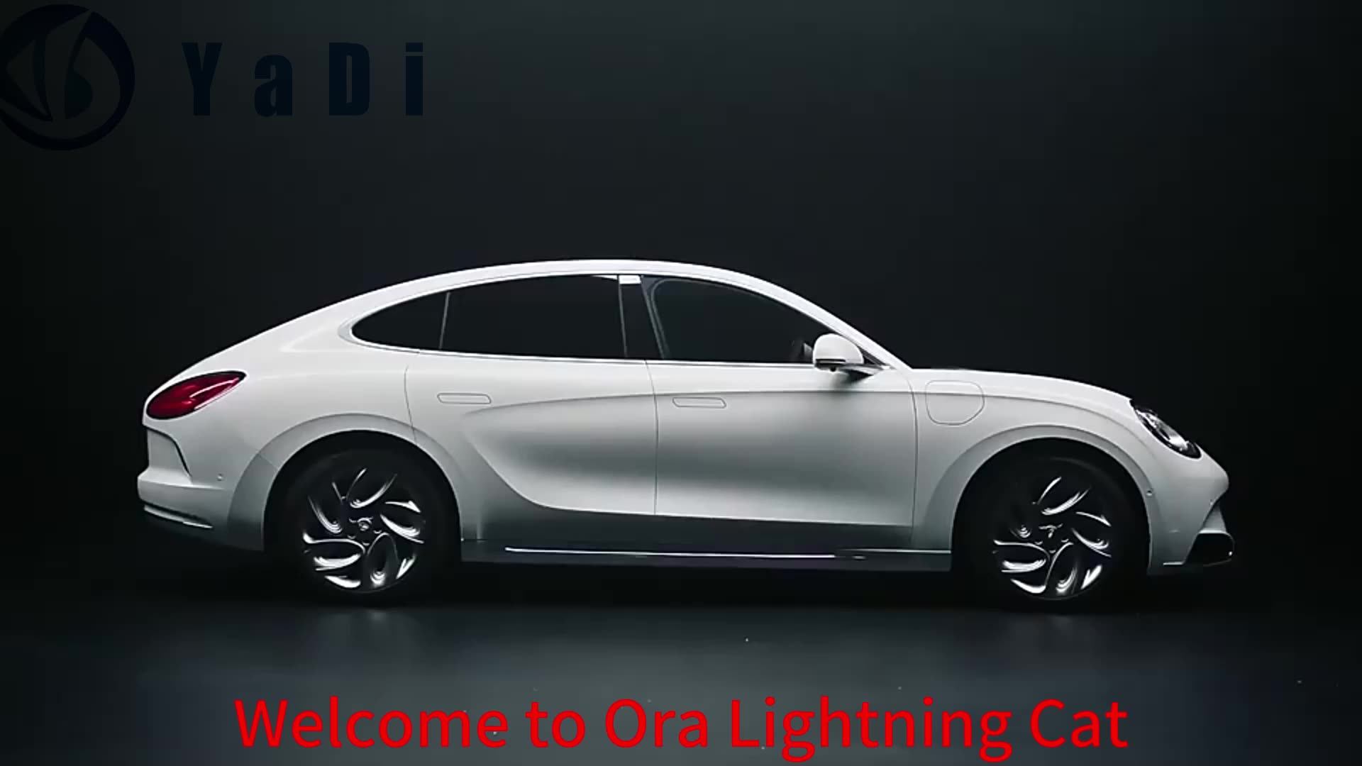 The Euler Lightning Cat,A Pure Electric Luxury Car Under Great Wall ...