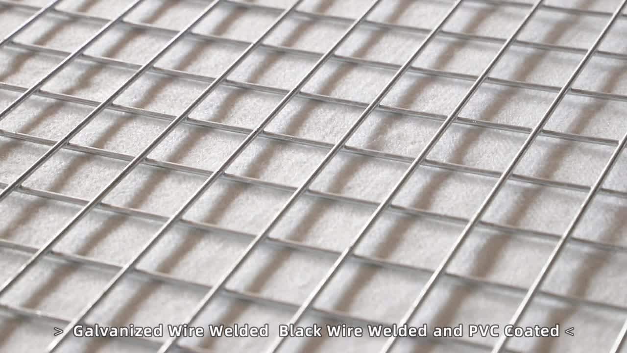 50x50 Galvanized Welded Wire Mesh Panel And Fence Wire Mesh - Buy ...