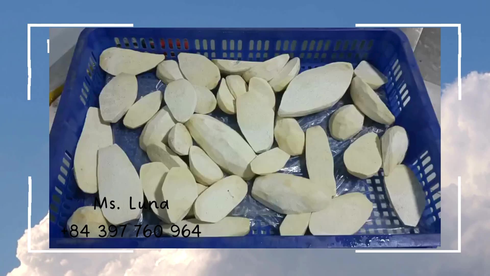 Fresh Frozen Taro Iqf Peeled Taro With Certification From Vietnam ...