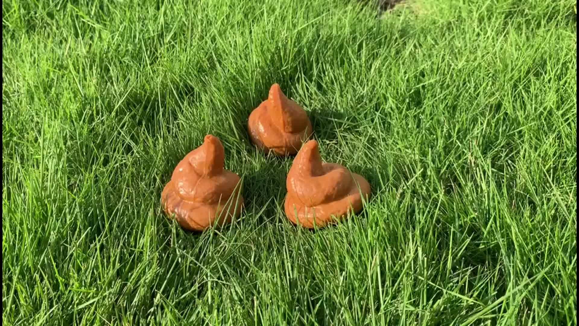 Funny Joke Fakes Human Poop Realistic Shits Fake Poop Prank Toys For ...