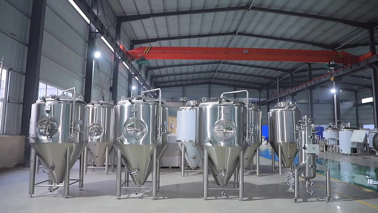 100l 200l Micro Fermentation Tank Beer Fermentater Tank Family Brewery ...