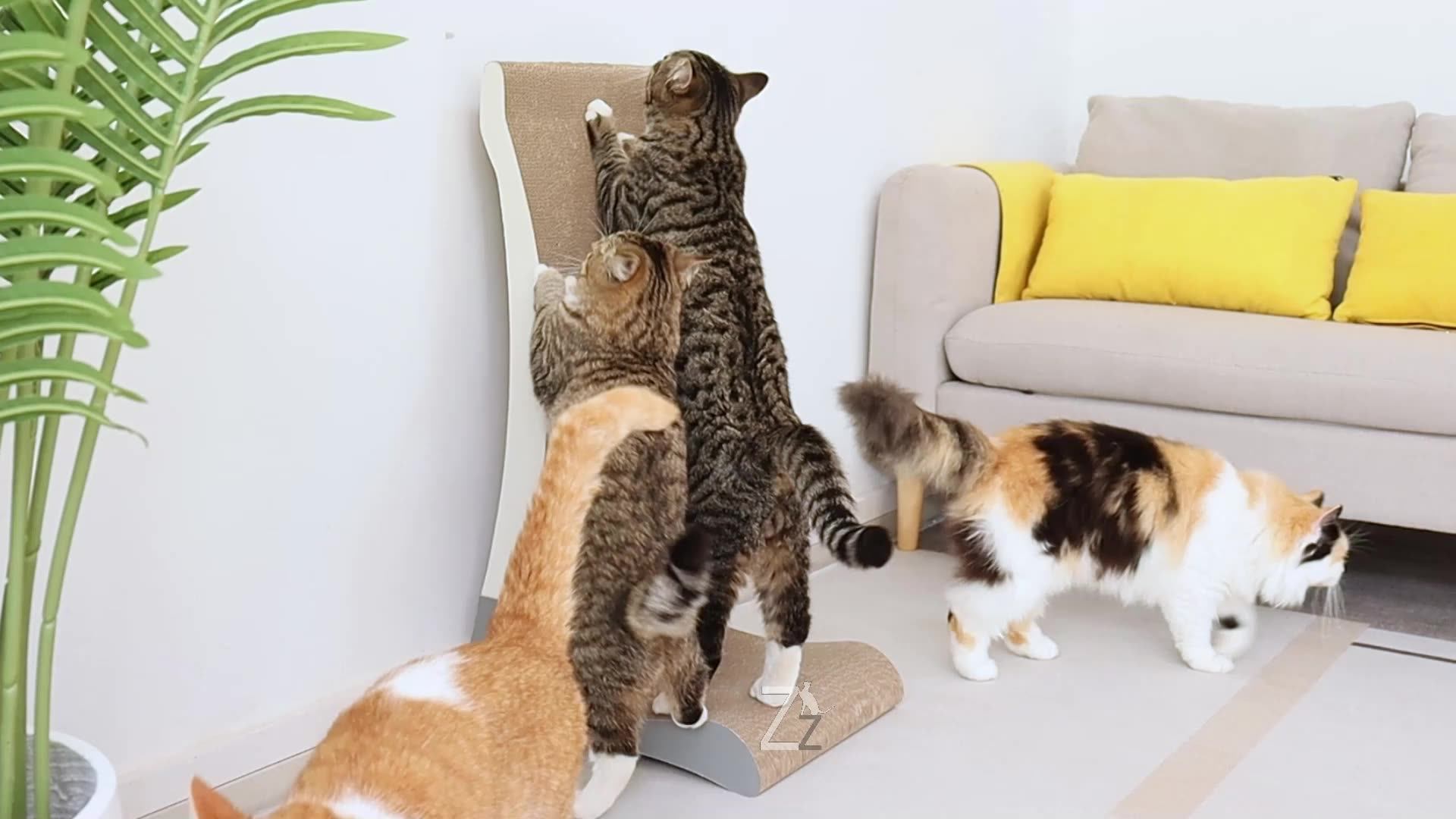 Easy Assembly L Shape Cardboard Wall Cat Scratcher - Buy Cat Scratcher ...