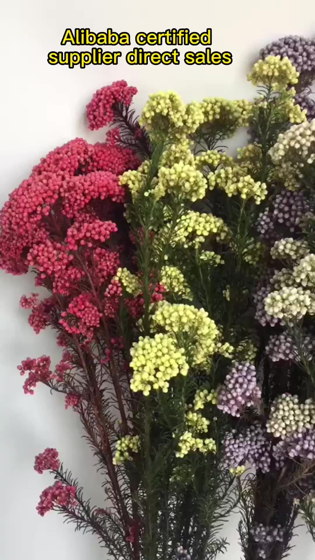 Yellow White Red Millet Dried Natural Flowers Arrangement Bouquet ...