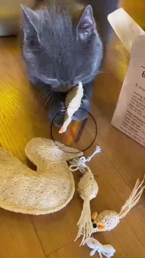 Hot Sale 2023!!! Natural Loofah Cat Toys Made Of High Quality Loofah In ...