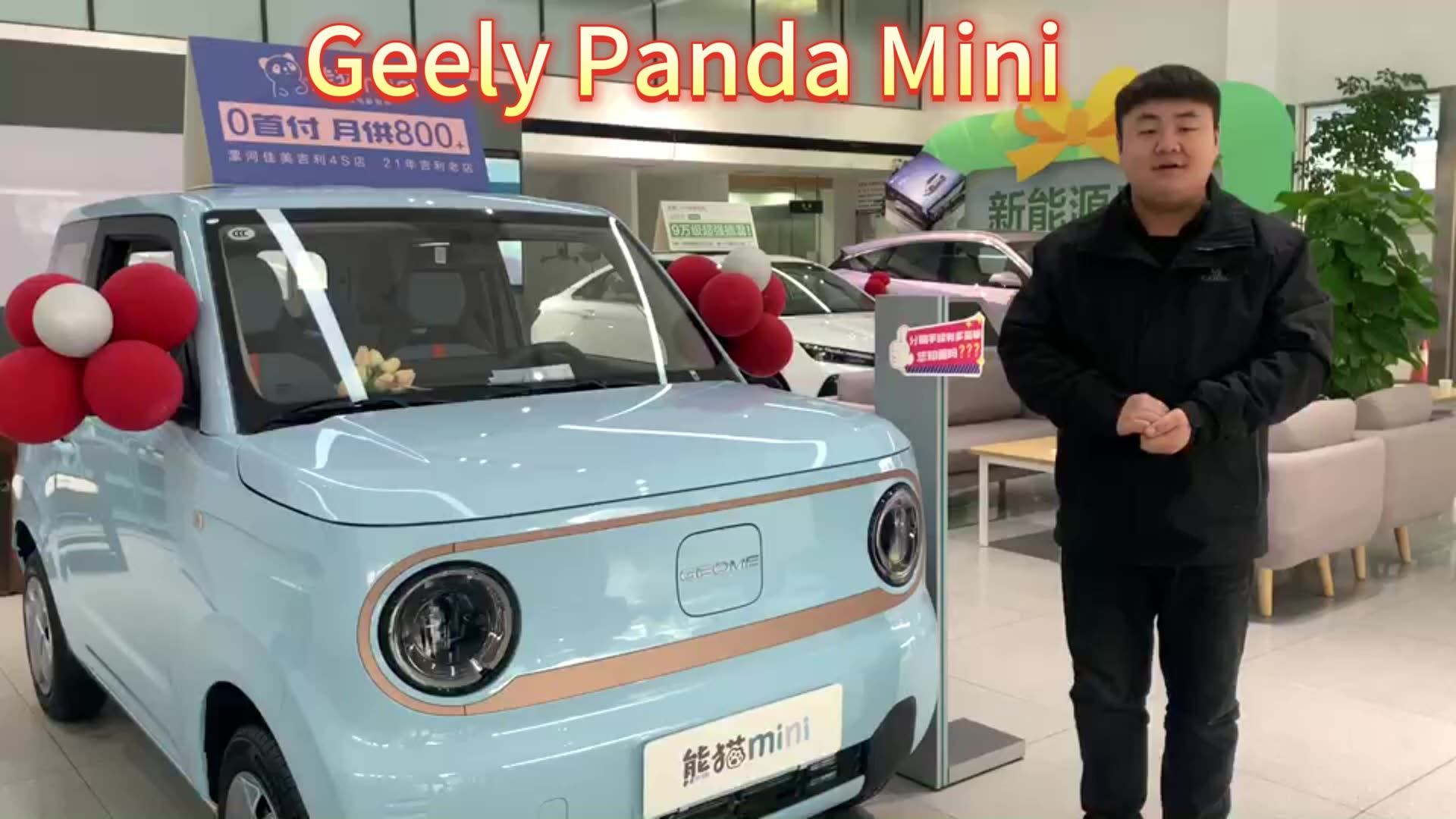 Geely Panda Mini Ev Car 4 Seats Electric Car Super Cute Bear Model ...