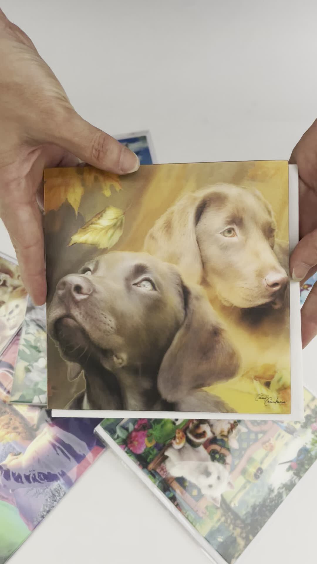 Wholesale Custom Lenticular Sheet Flip Effect 3d Lenticular Printing ...