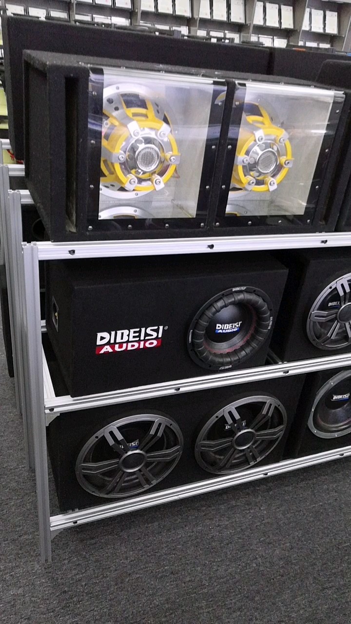 Dibeisi Oem/odm (never Retail) High Performance Car Passive 10 Inches ...