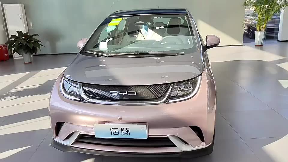 Byd Delfín Coche Eléctrico 2023 De Moda Edición 420km Ev Coche Costo ...
