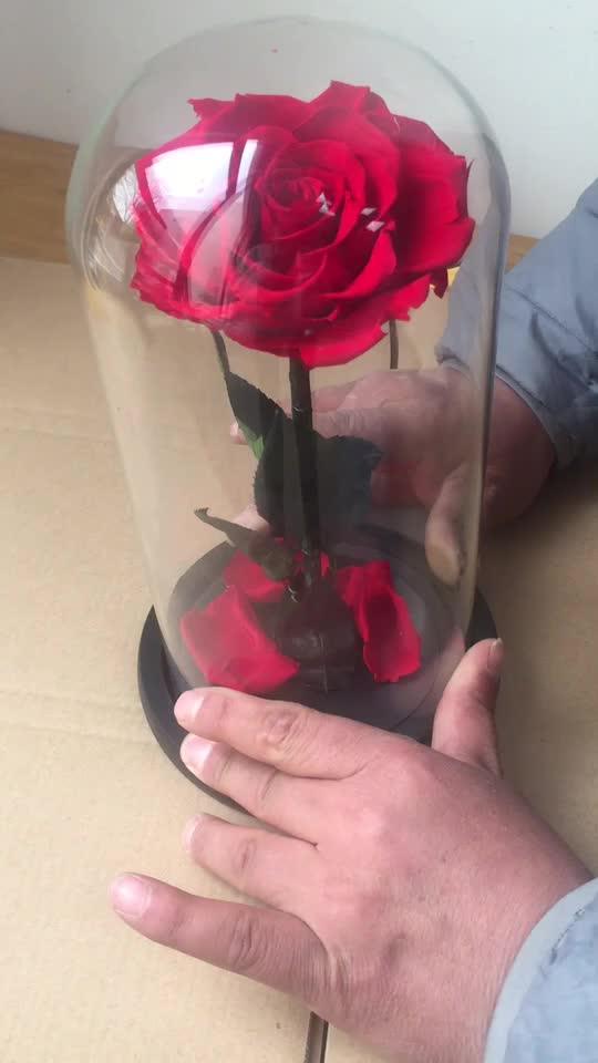 Large Preserved Flower Rose In Glass Bottle And Shell - Buy Rose In ...