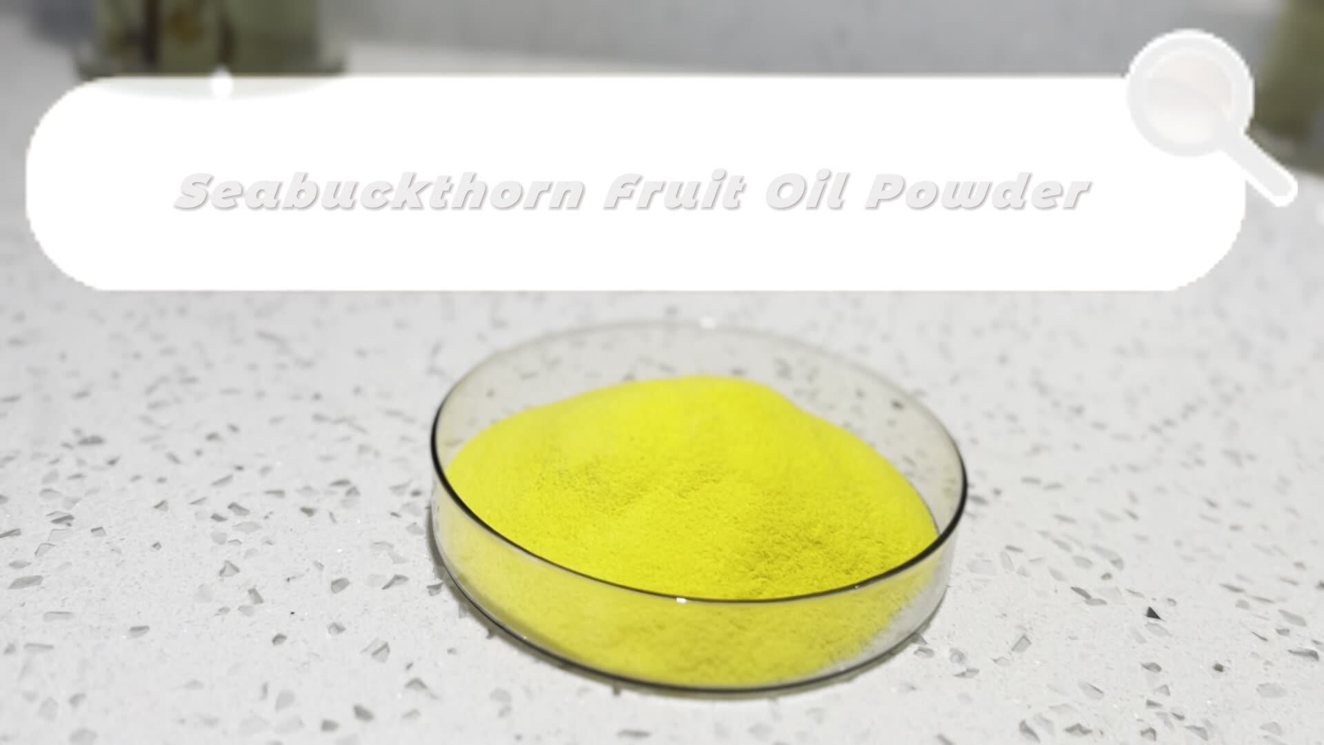 Hippophae Rhamnoides L. Extract Seabuckthorn Fruit Oil Powder For ...