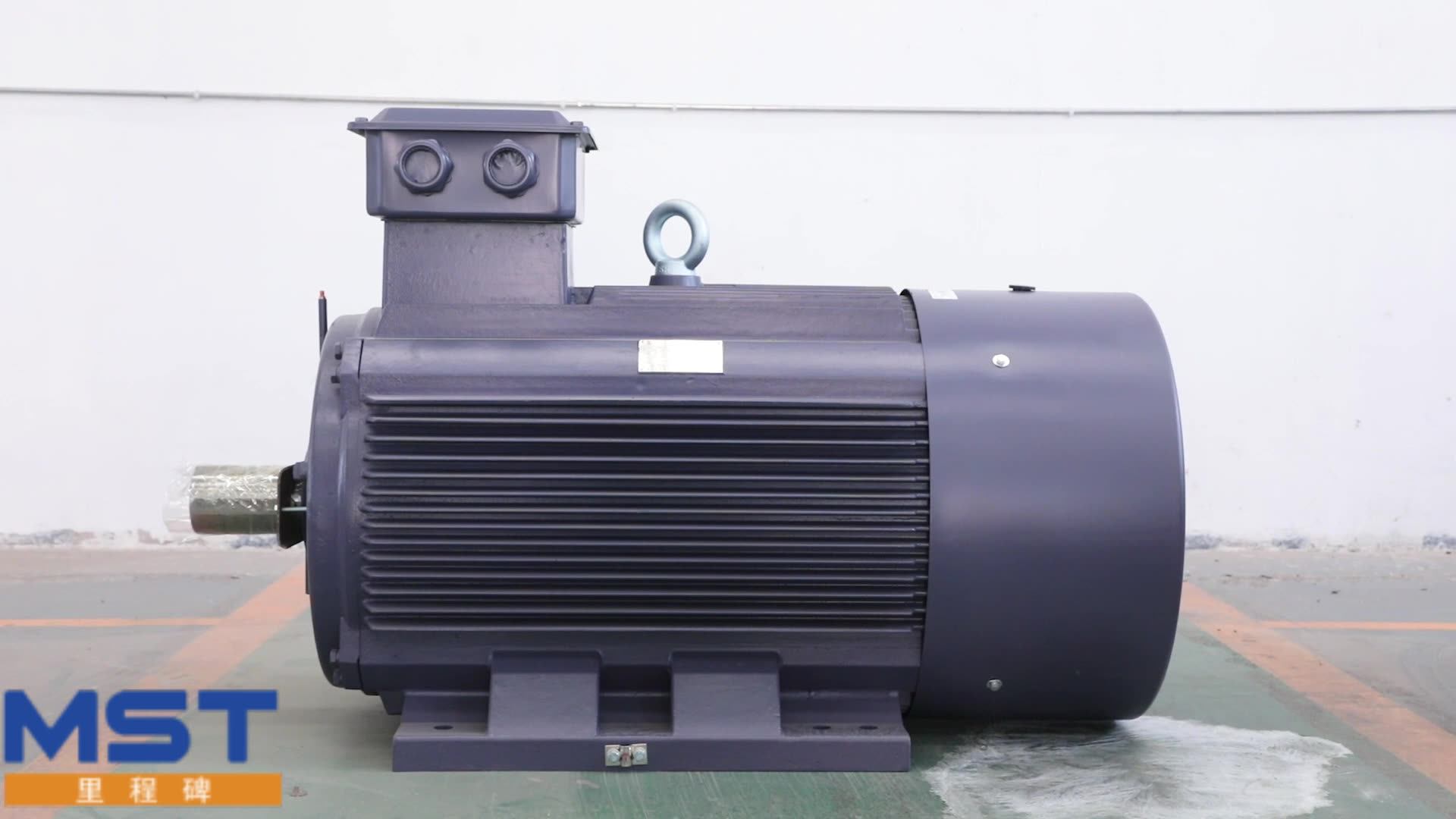 50hz 60hz High Efficiency Cast Iron Three Phase Squirrel Cage Ac ...