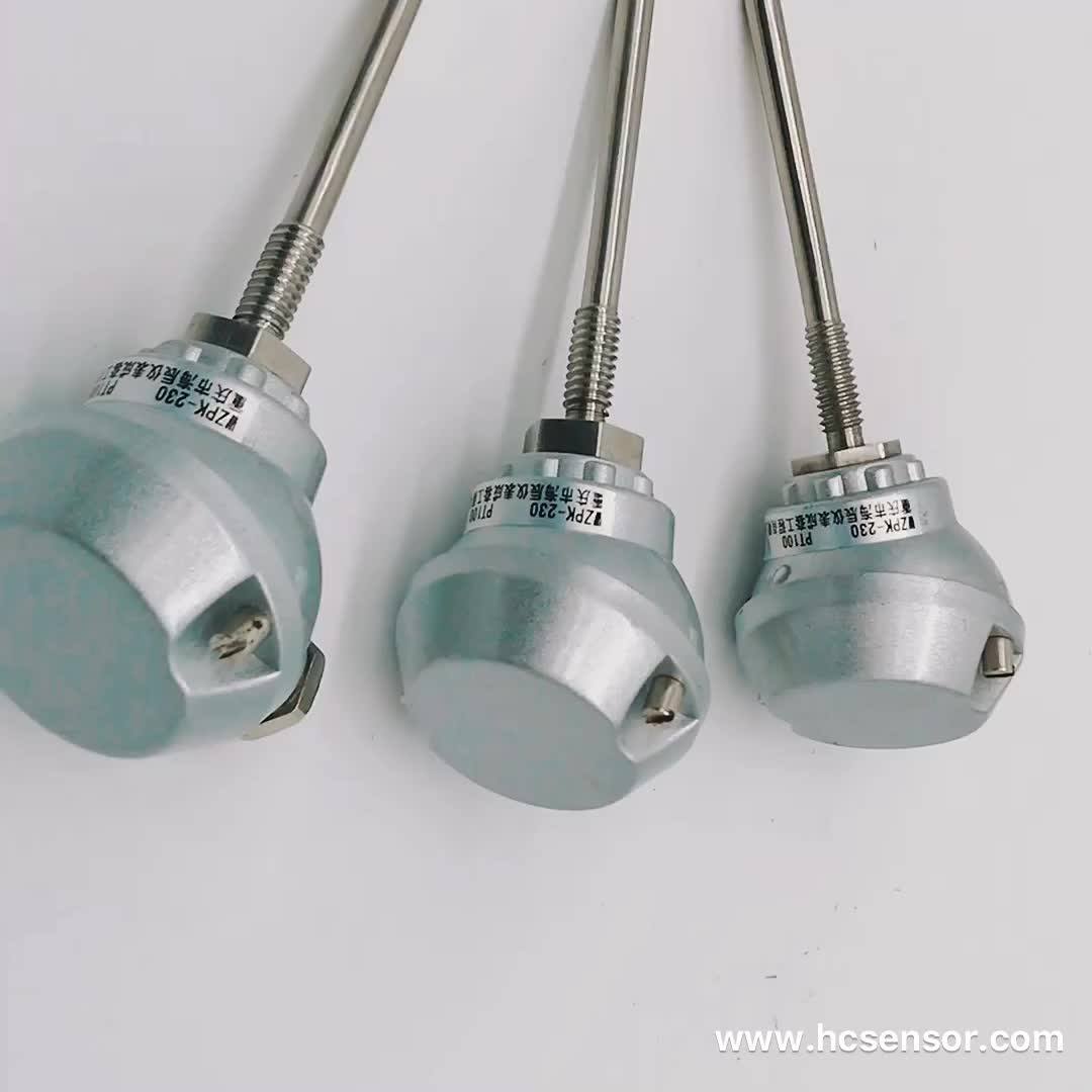 Pt100 Rtd Sensor Untuk Industri Makanan Sanitasi - Buy Sanitary Rtd ...