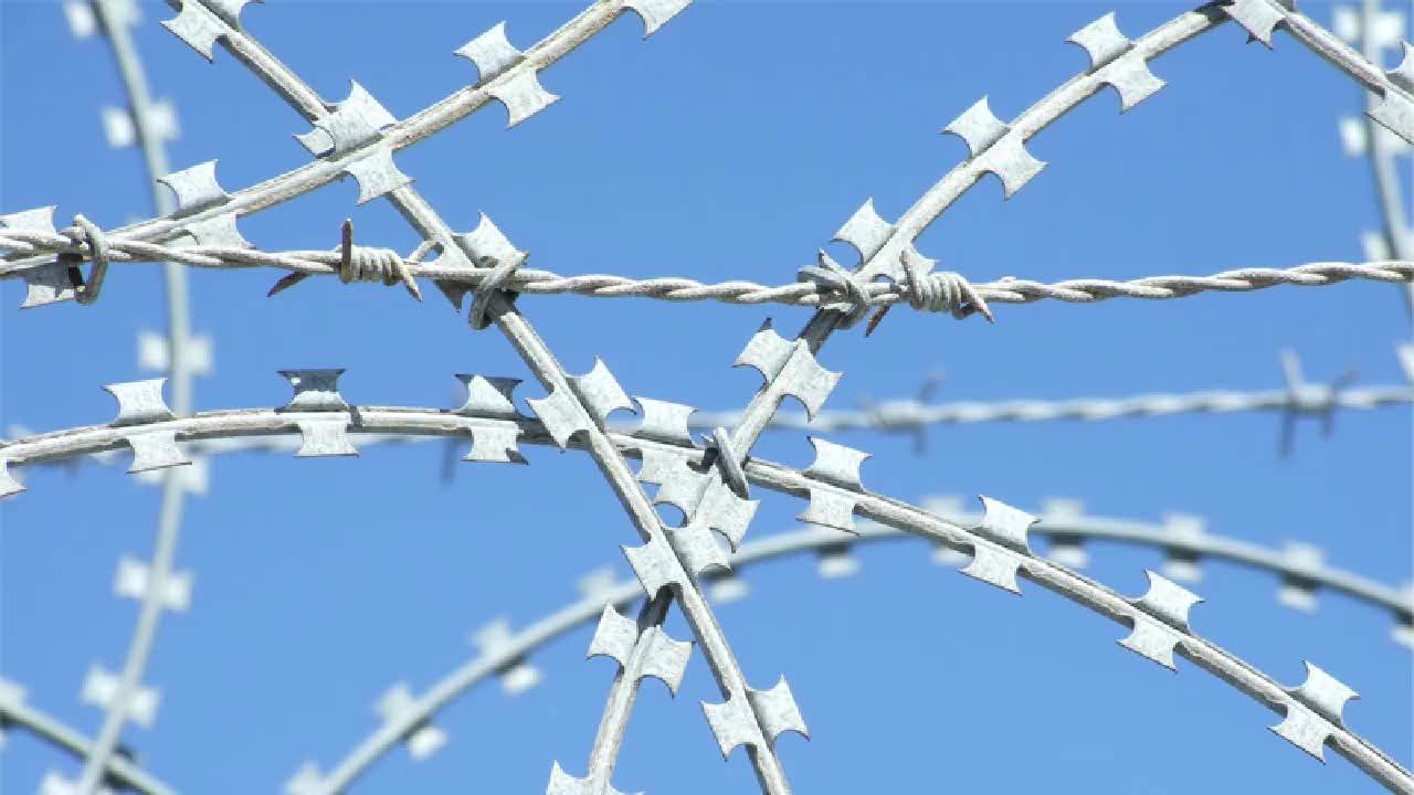 Concertina Wire